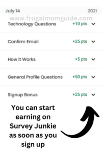 How to Make Money with Surveys on Survey Junkie (+Pro Tips)