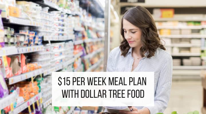 $15 Weekly Meal Plan with a Dollar Tree Food List